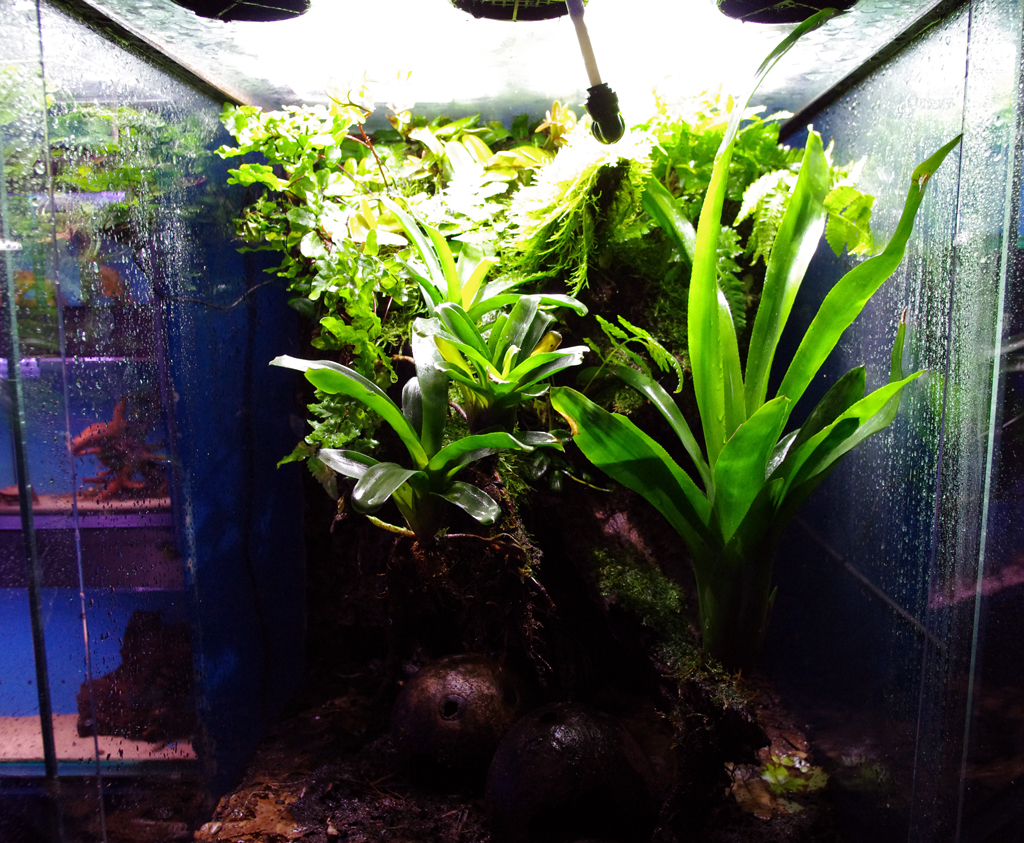 Aquatic Design Centre