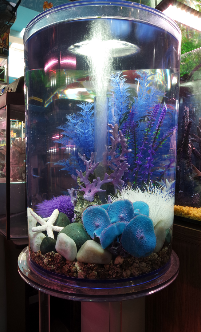 Aquatic Design Centre