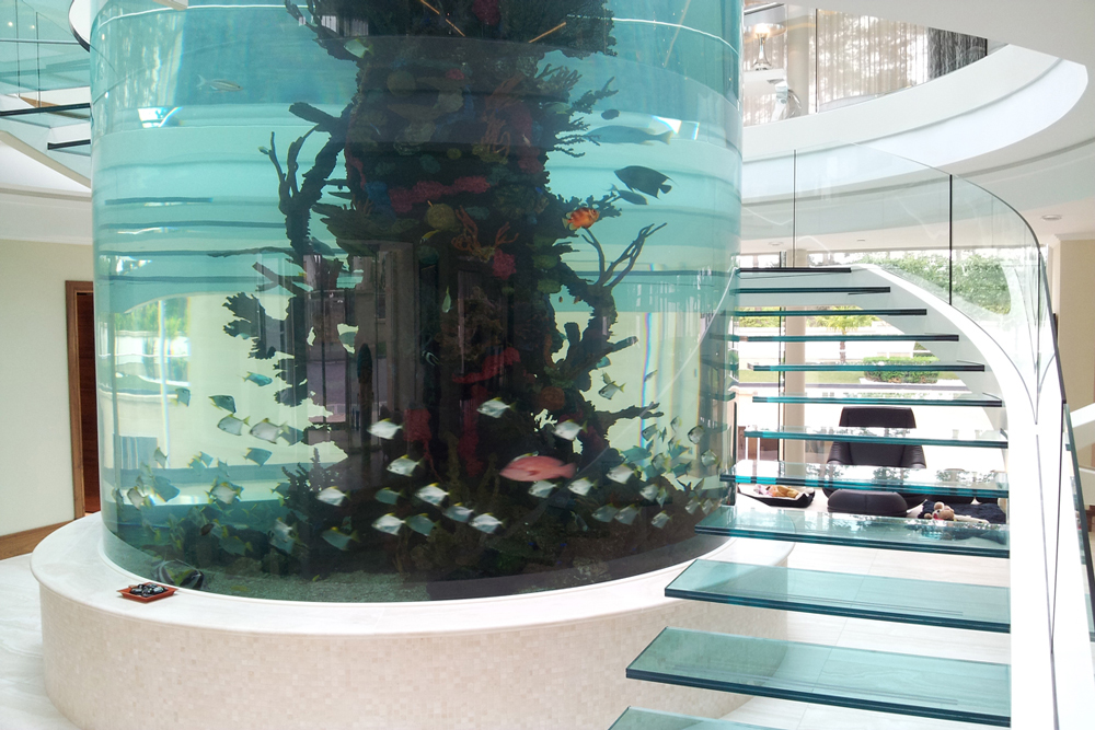 Aquatic Design Centre