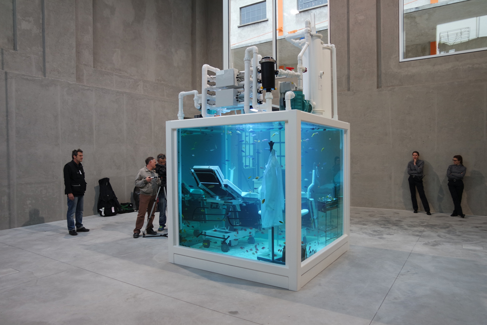 Aquatic Design Centre