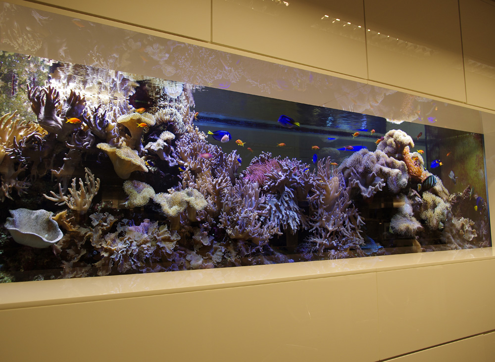 Aquatic Design Centre