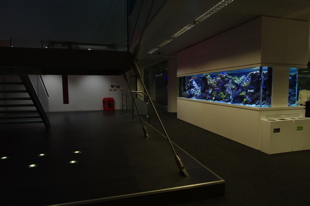 Aquatic Design Centre