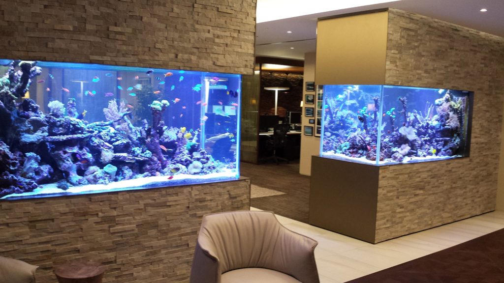 Aquatic Design Centre