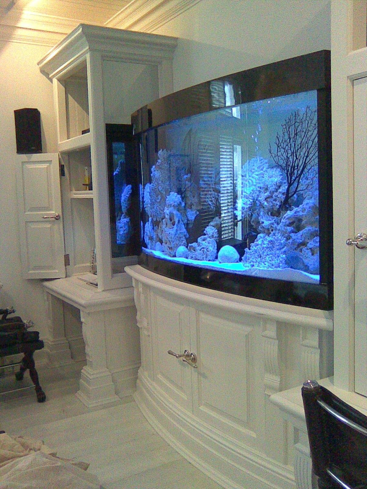 Aquatic Design Centre