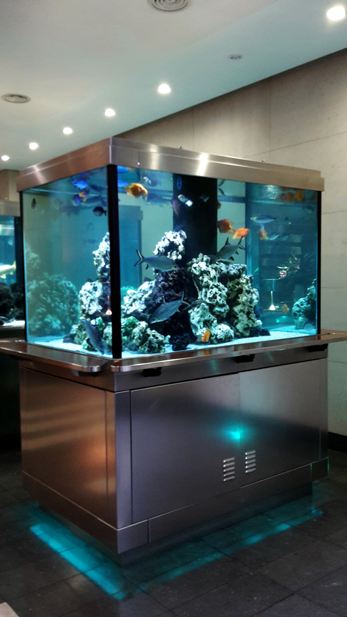 Aquatic Design Centre