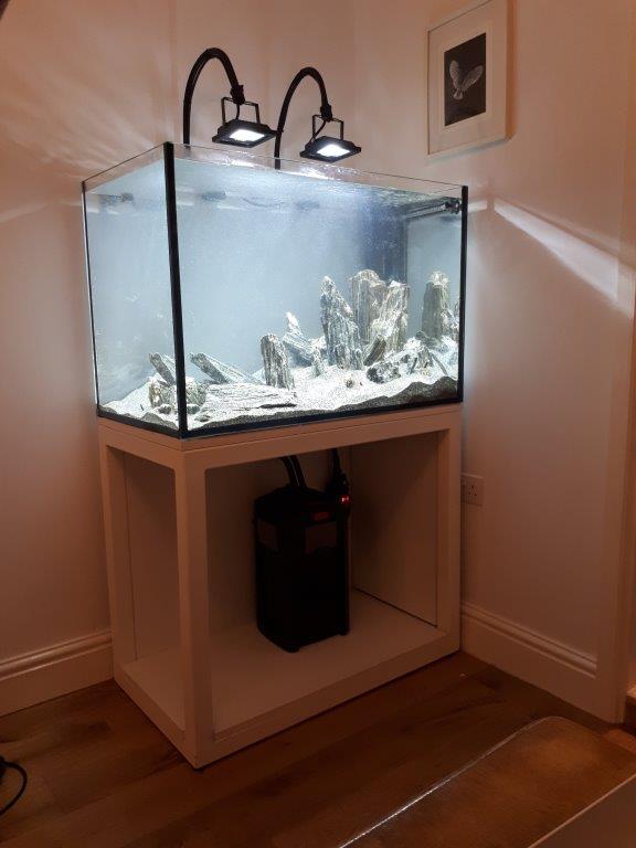 Aquatic Design Centre