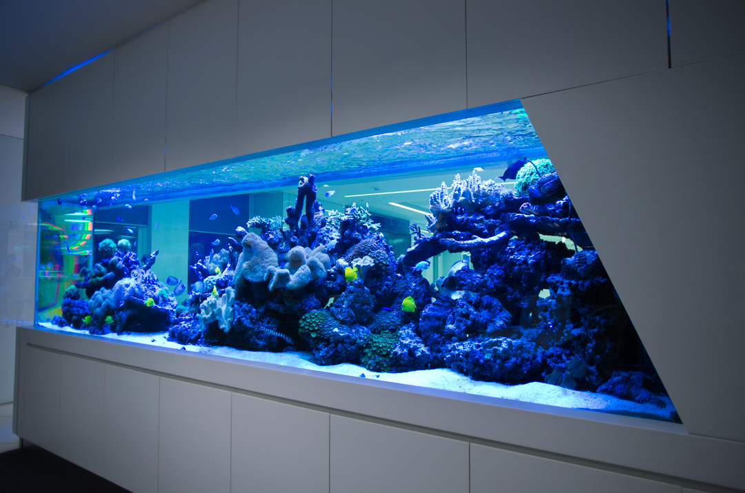 Aquatic Design Centre