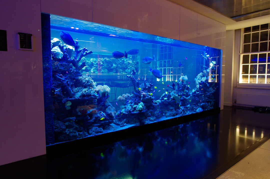 Aquatic Design Centre