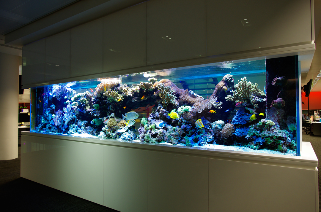 Aquatic Design Centre