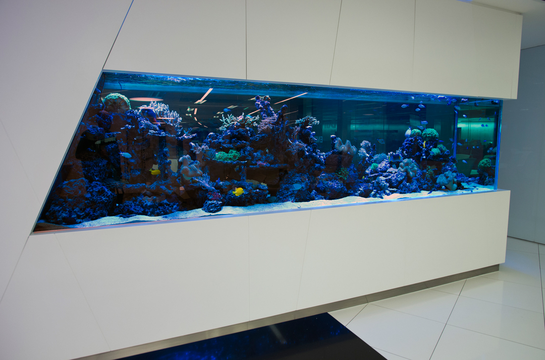 Aquatic Design Centre