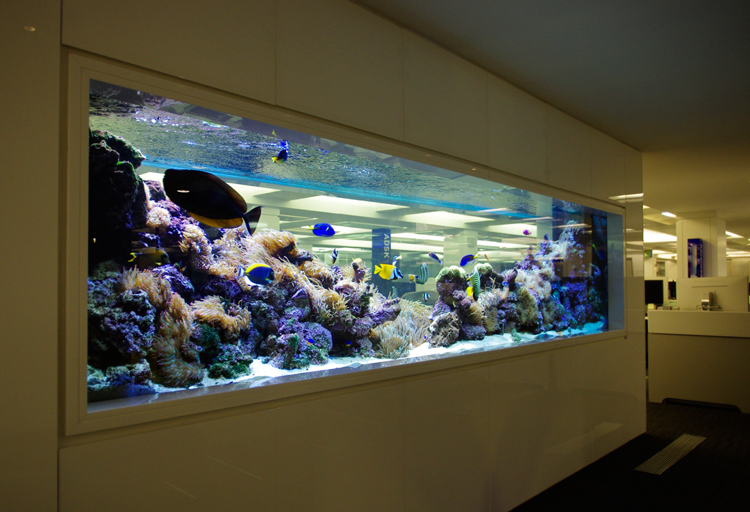 Aquatic Design Centre