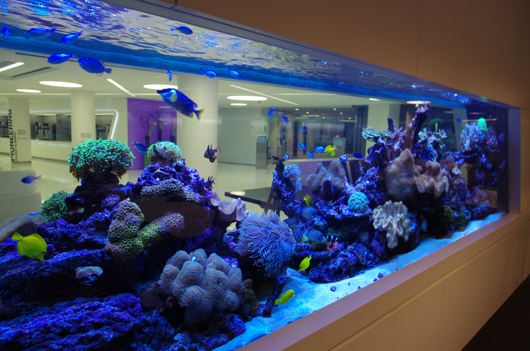 Aquatic Design Centre