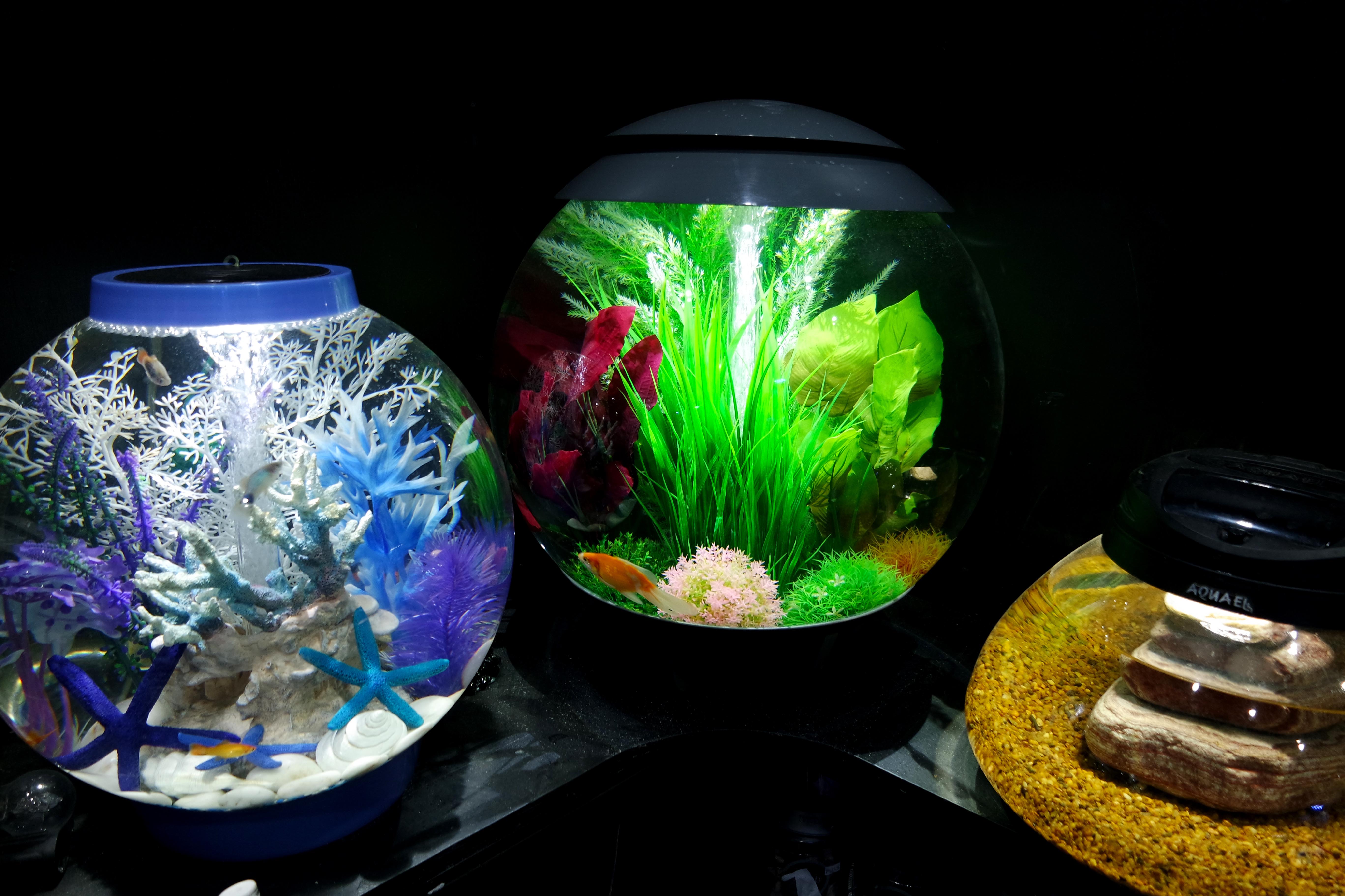 Aquatic Design Centre