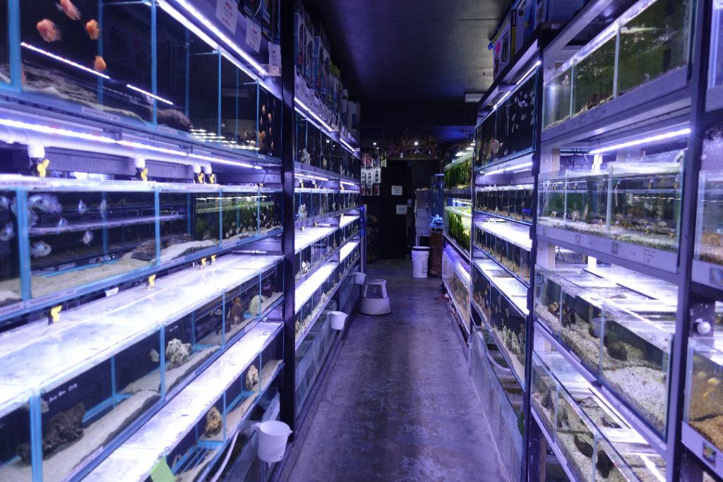 Aquatic Design Centre