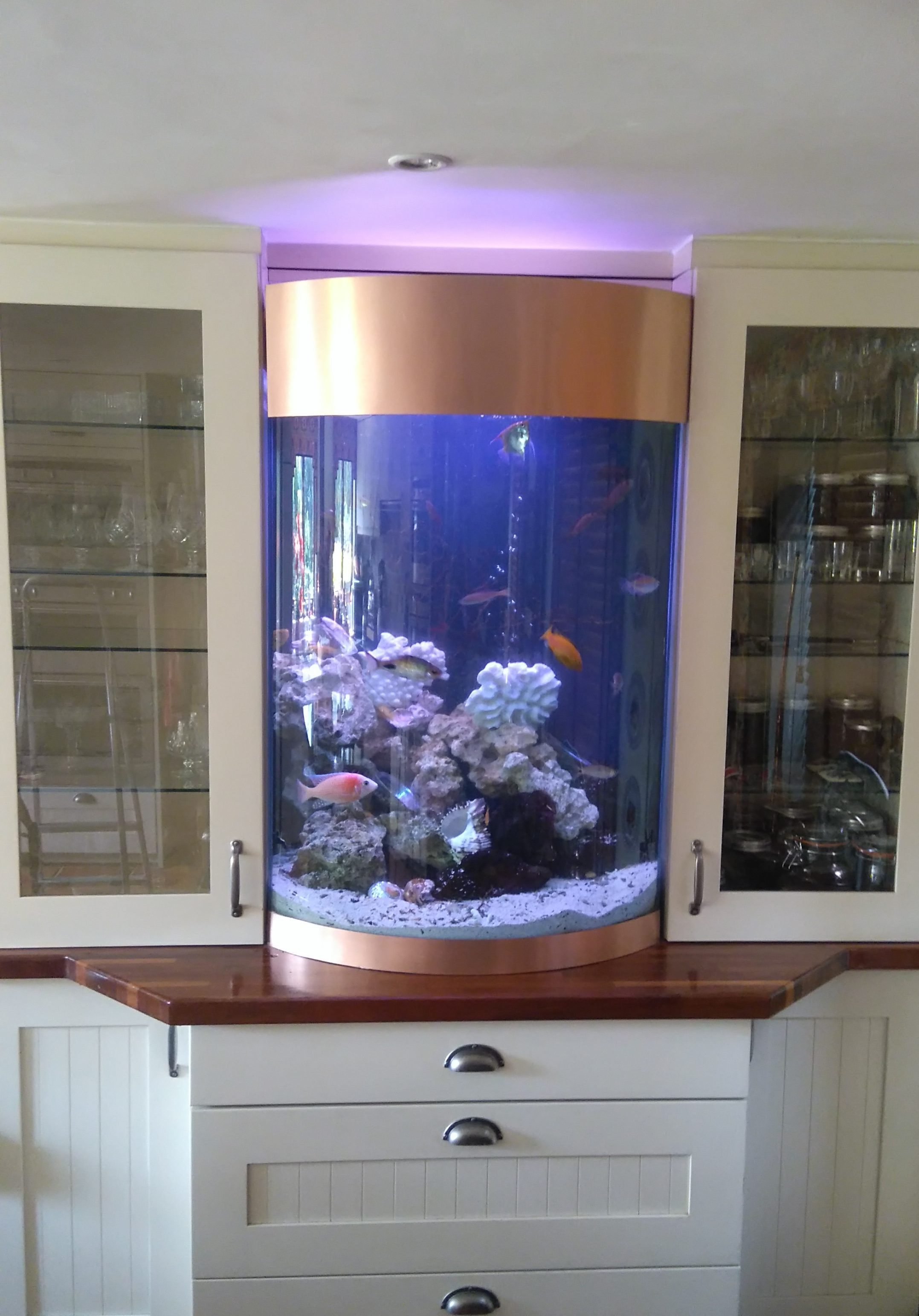 Aquatic Design Centre