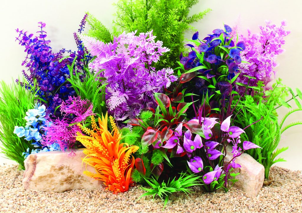 Aquatic Design Centre
