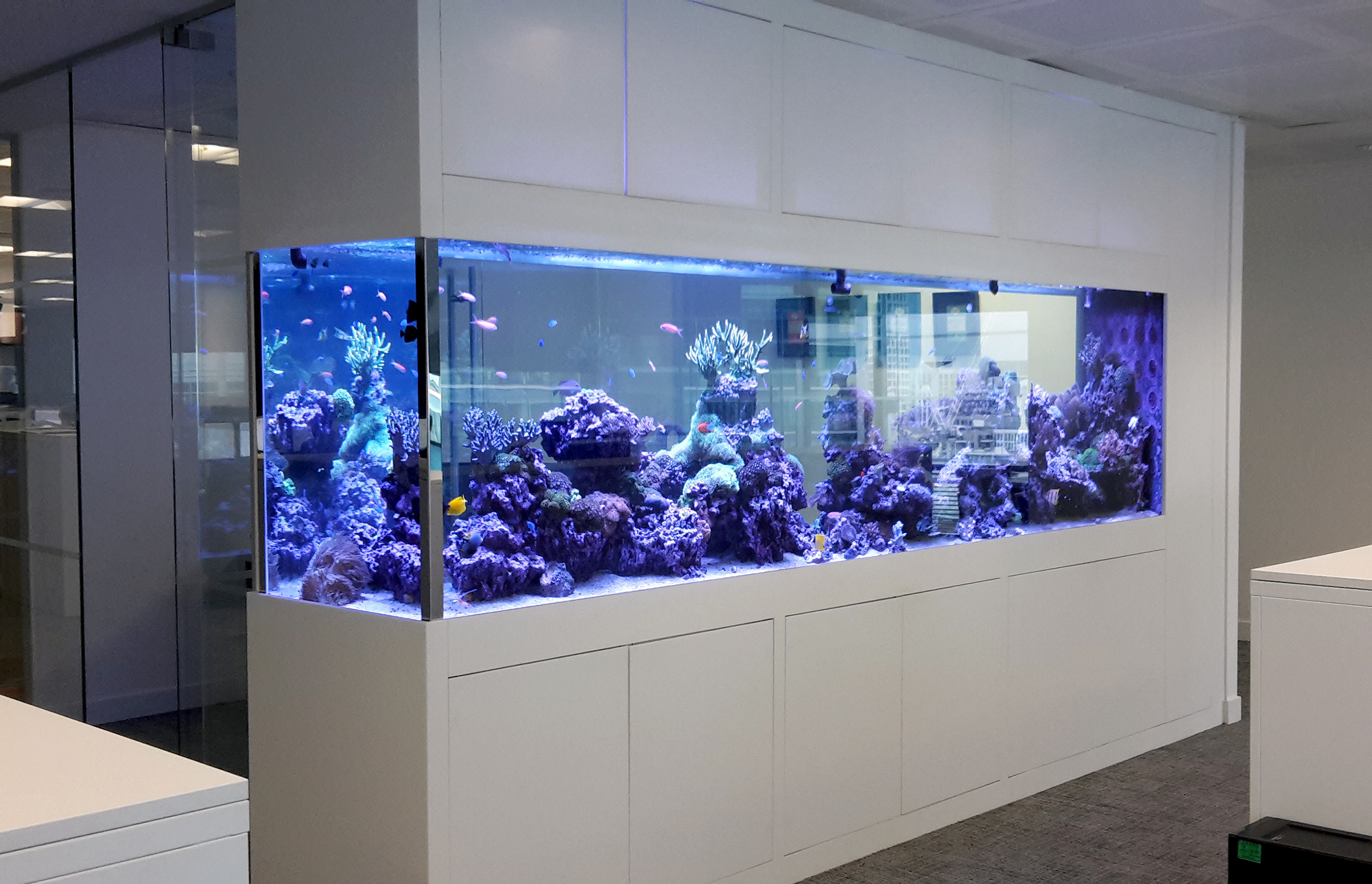 Aquatic Design Centre