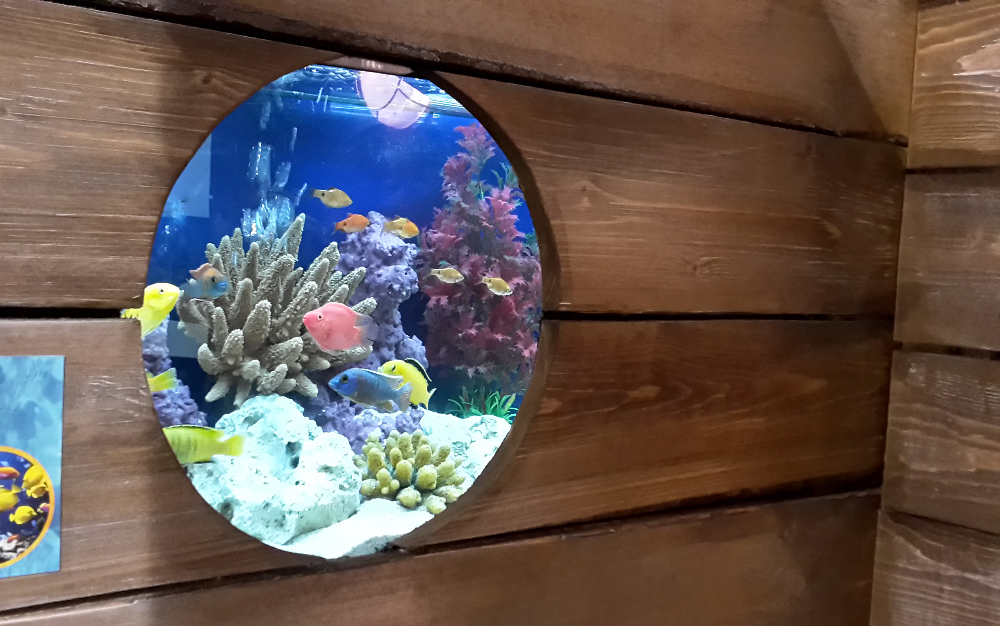 Aquatic Design Centre