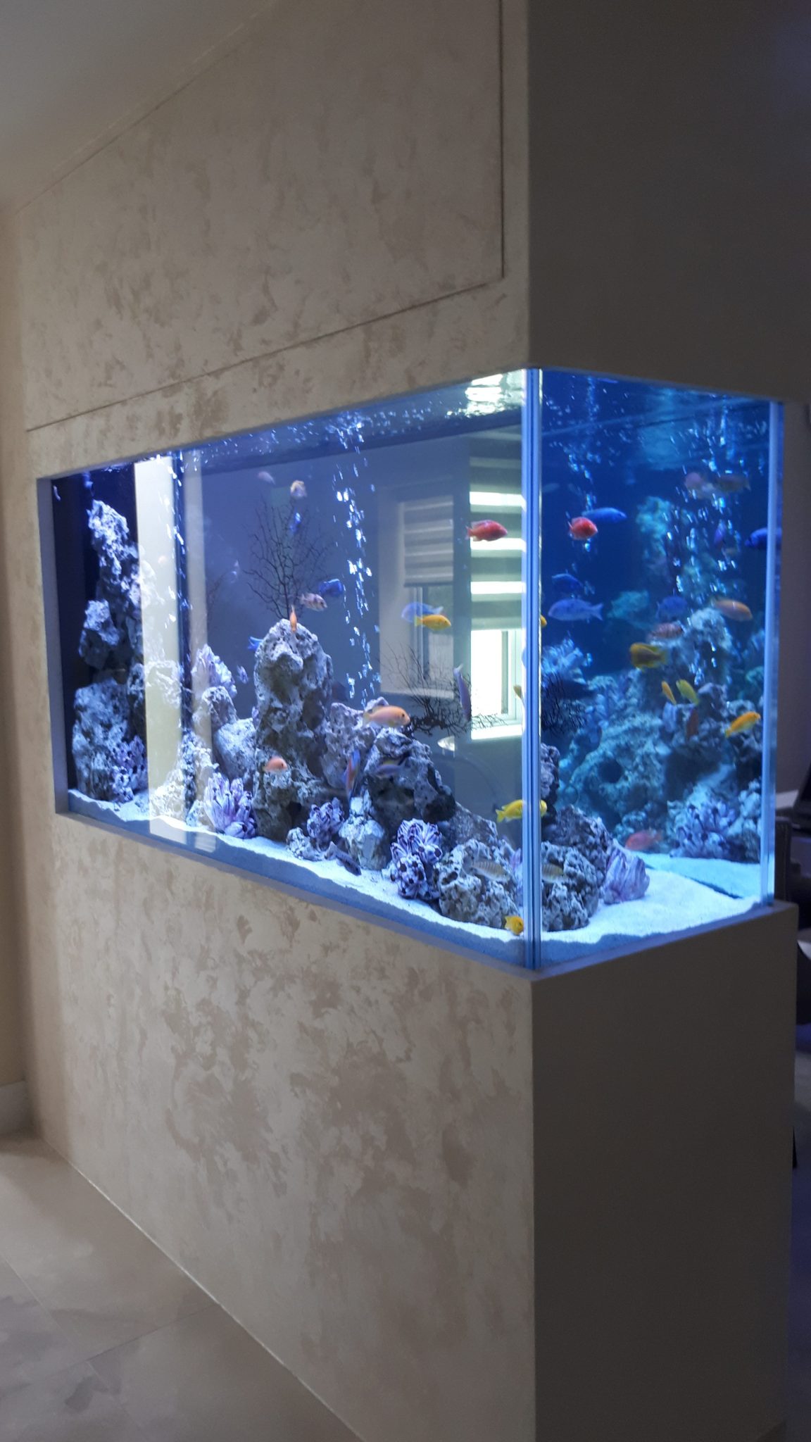 Aquatic Design Centre