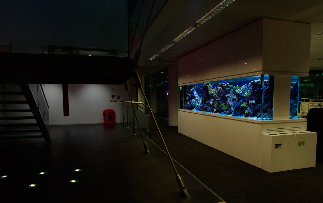 Aquatic Design Centre