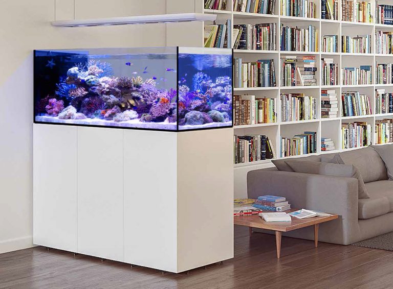 Aquatic Design Centre