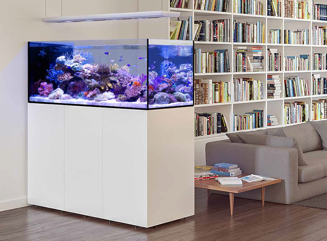 Aquatic Design Centre