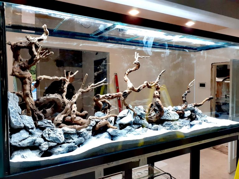 Aquatic Design Centre