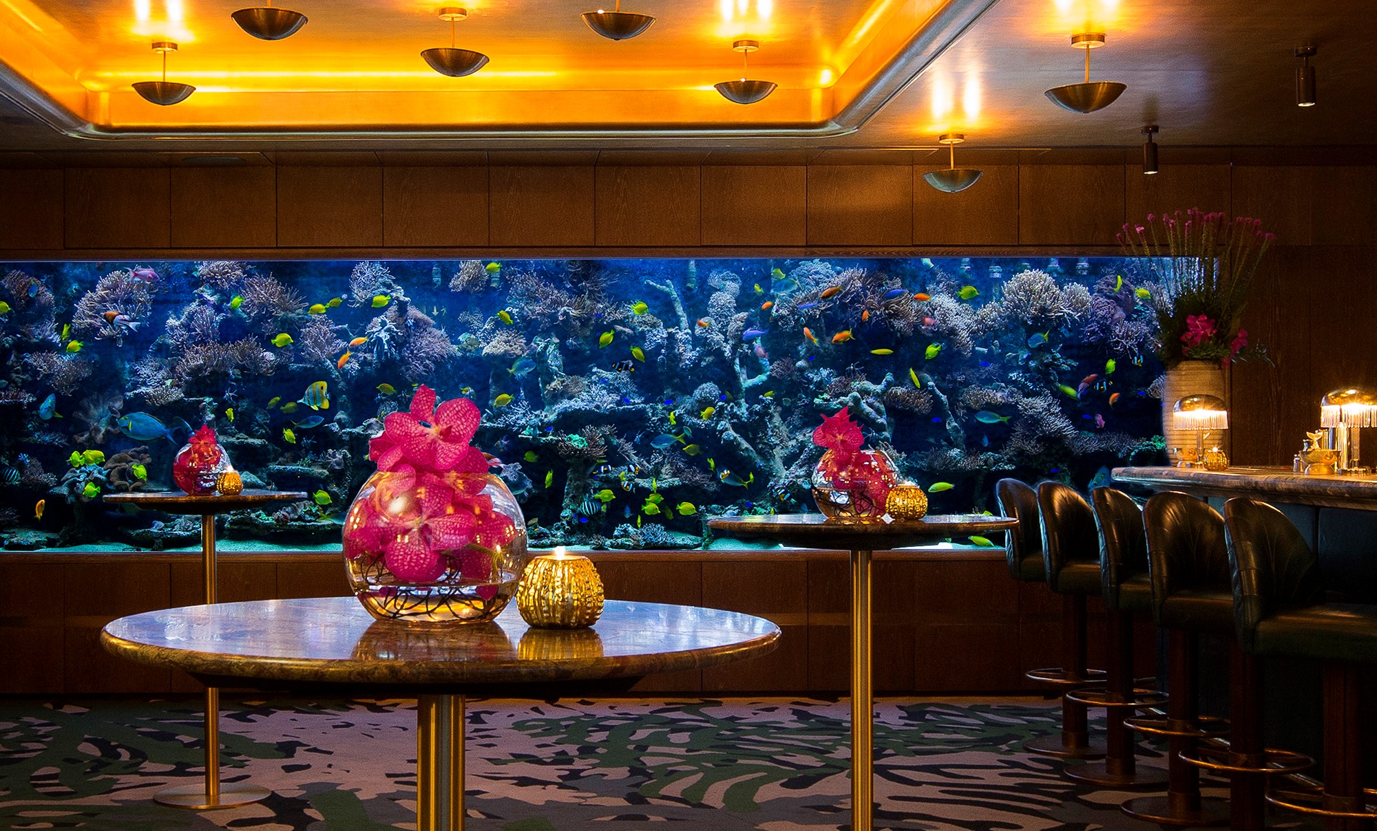 Aquatic Design Centre